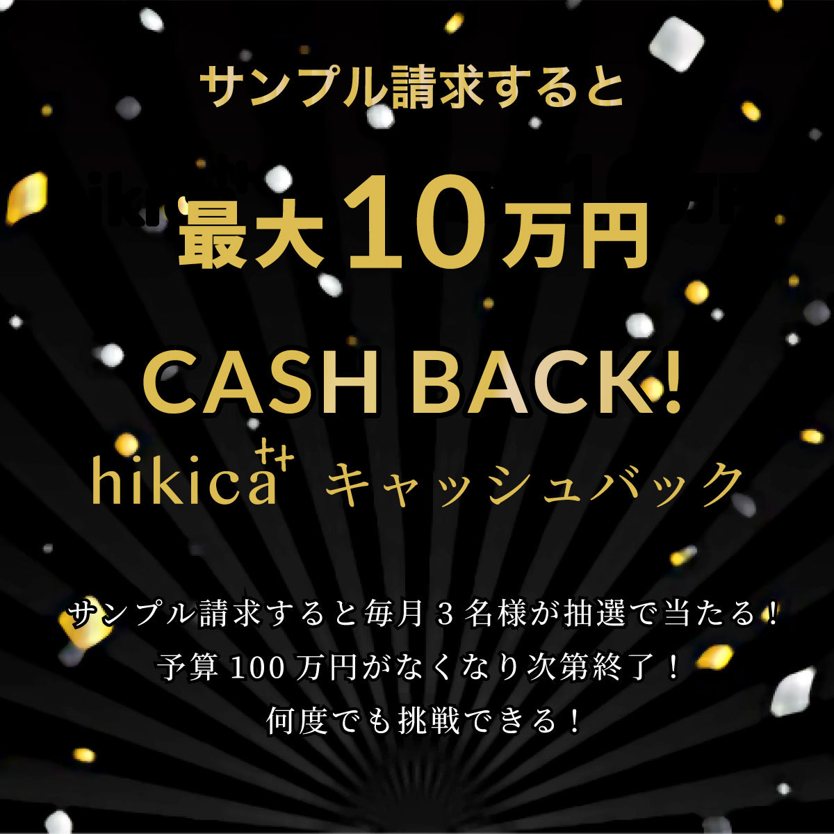 商品詳細ページ | hikica++（ヒキカ）